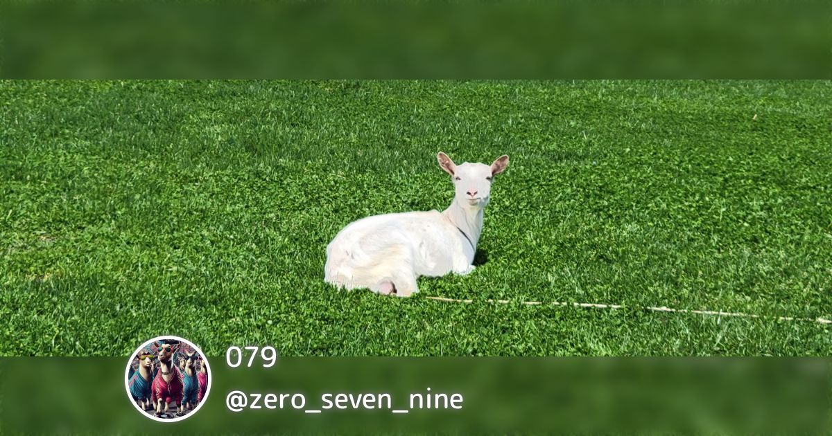 079(@zero_seven_nine)のまとめ - posfie