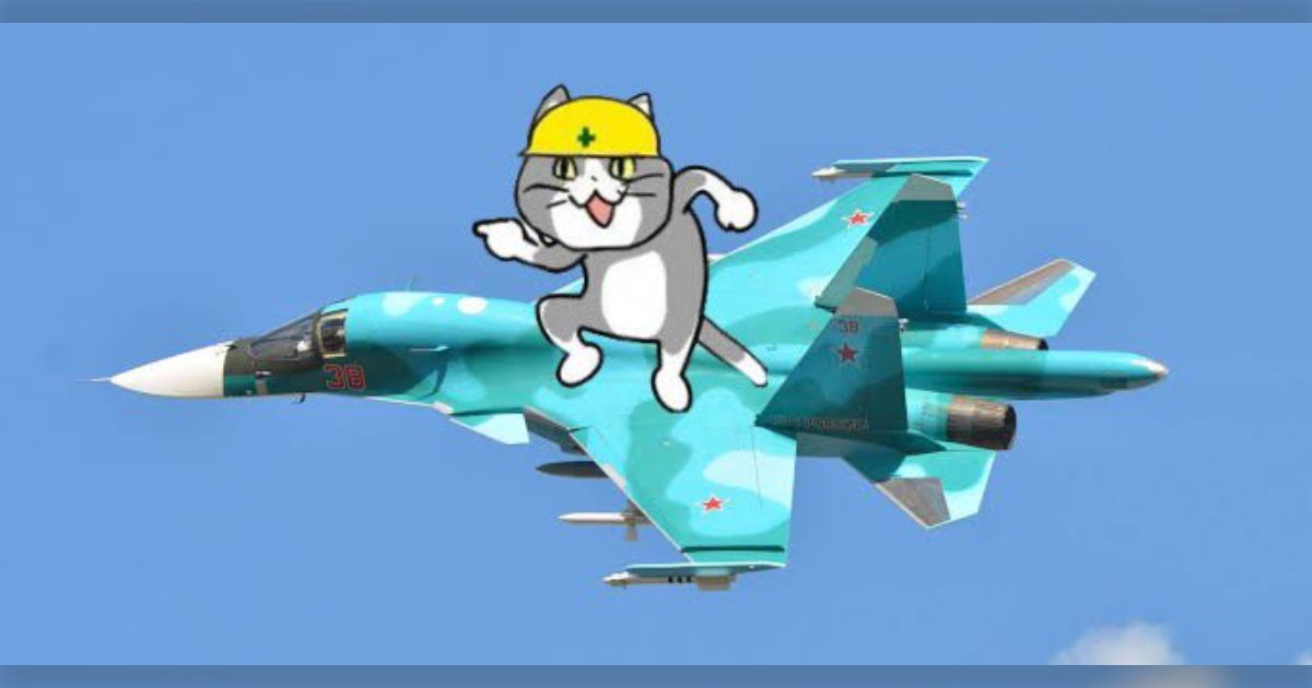 こんな世界レベルの現場猫…!? ロシア軍戦闘機Su-34、自国ベルゴロド市を飛行中に爆弾をポロリし半径20mのクレーターを作る - posfie