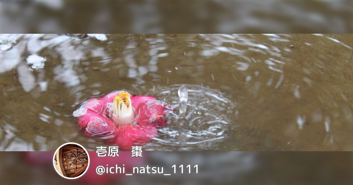 壱原 棗(@ichi_natsu_1111)のまとめ - posfie