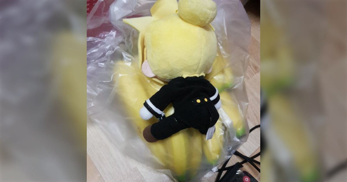 #ぬいぐるみ撮影60分一本勝負 7/29 - posfie