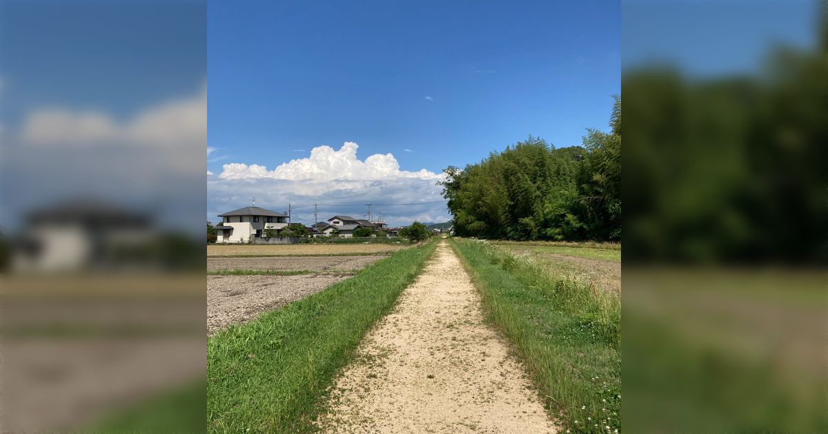 旅行記～2021年6月神戸・加古川・有馬温泉・三木鉄道・北条鉄道・姫路編 - posfie