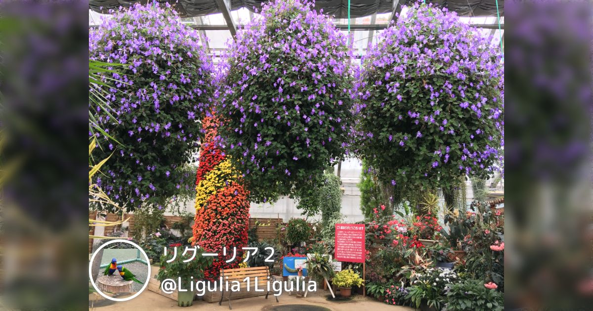 リグーリア2(@Ligulia1Ligulia)のまとめ - posfie