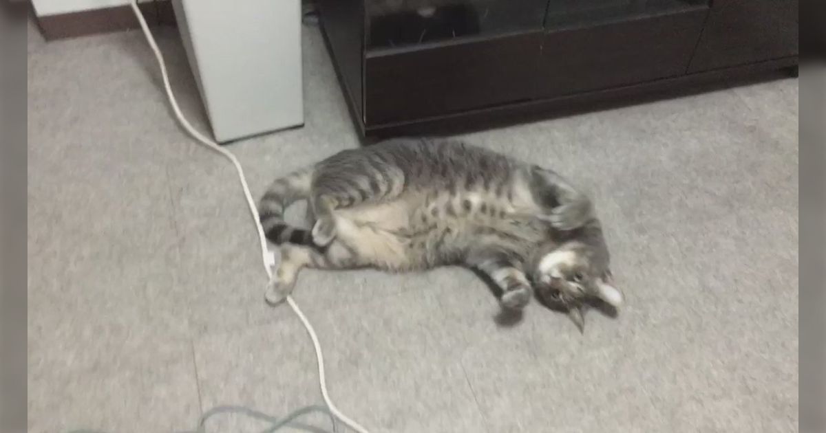 2016/06/21のRT済ツイートまとめ - posfie