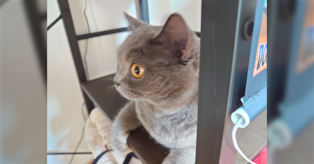 うにさん（2021/5） - posfie