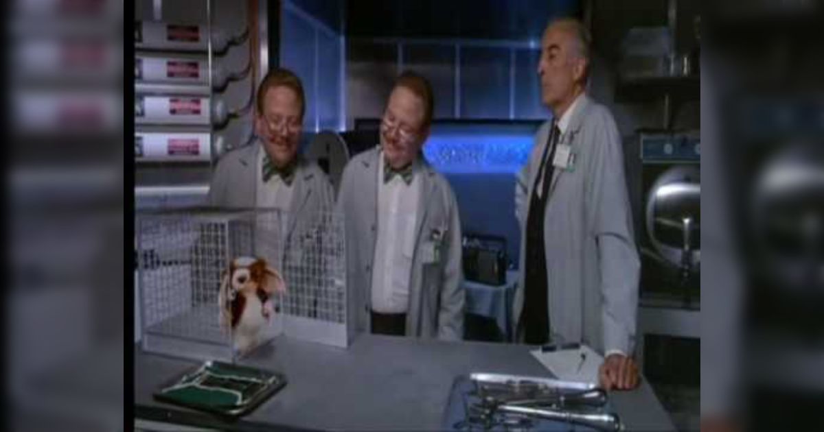 calendar_bot／暦商店街まとめ12（11/23お祭り編） - posfie