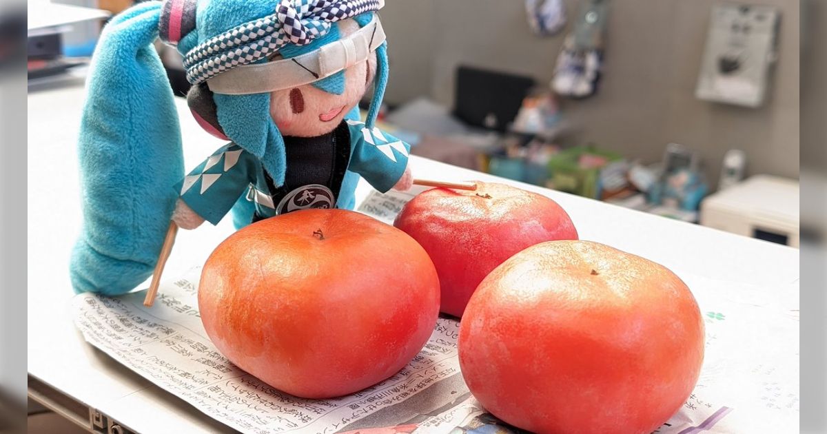 #ぬいぐるみの時間 12/9 - posfie