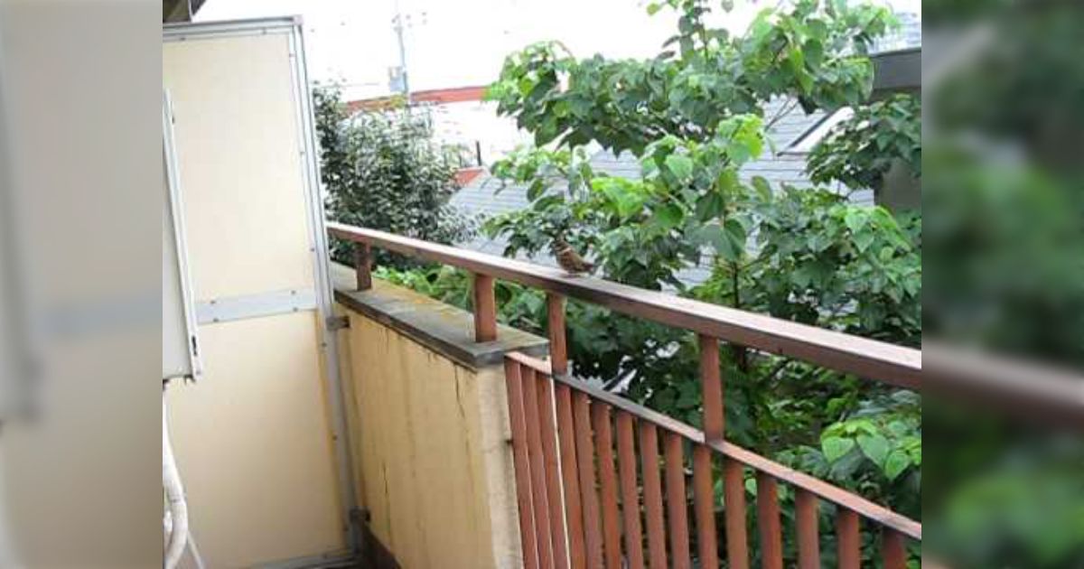 2012.10.10 日護会 福岡裁判 第4回口頭弁論 - posfie