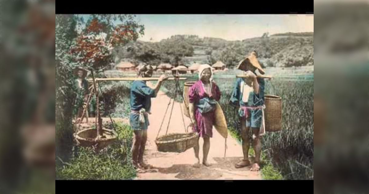 NHK MEGAQUAKEの感想などのまとめ - posfie