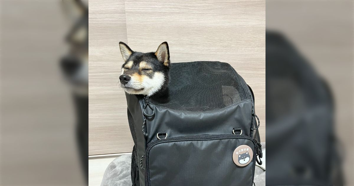 2023/5/9の話題ツイートまとめ - posfie