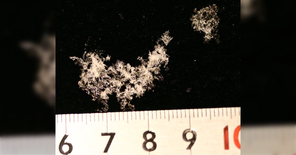 ハッシュタグ「関東雪結晶」2022年02月13日～2月14日版 - posfie