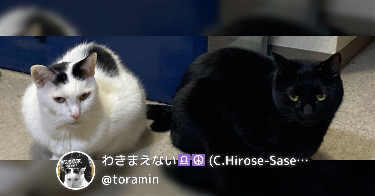 わきまえない♎️☮️ (C.Hirose-Sase）😷21ZNA9 #DontBeSilent(@toramin)のまとめ - posfie