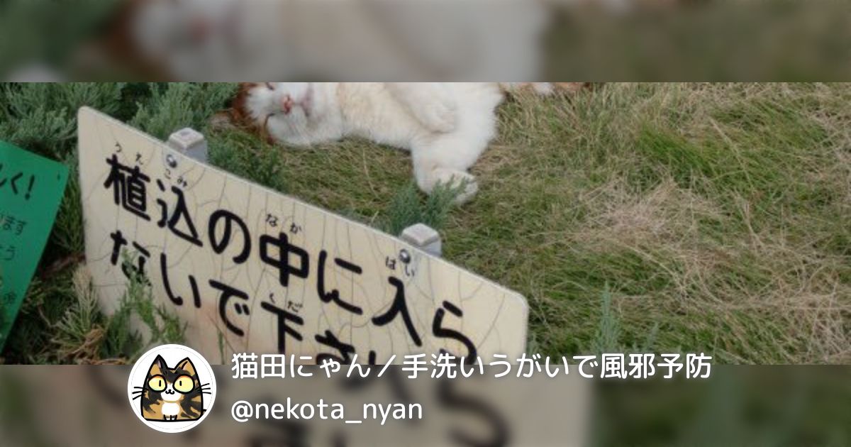 猫田にゃん／手洗いうがいで風邪予防(@nekota_nyan)のまとめ - posfie