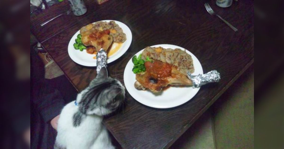 それぞれのクリスマスイヴ2010 - posfie