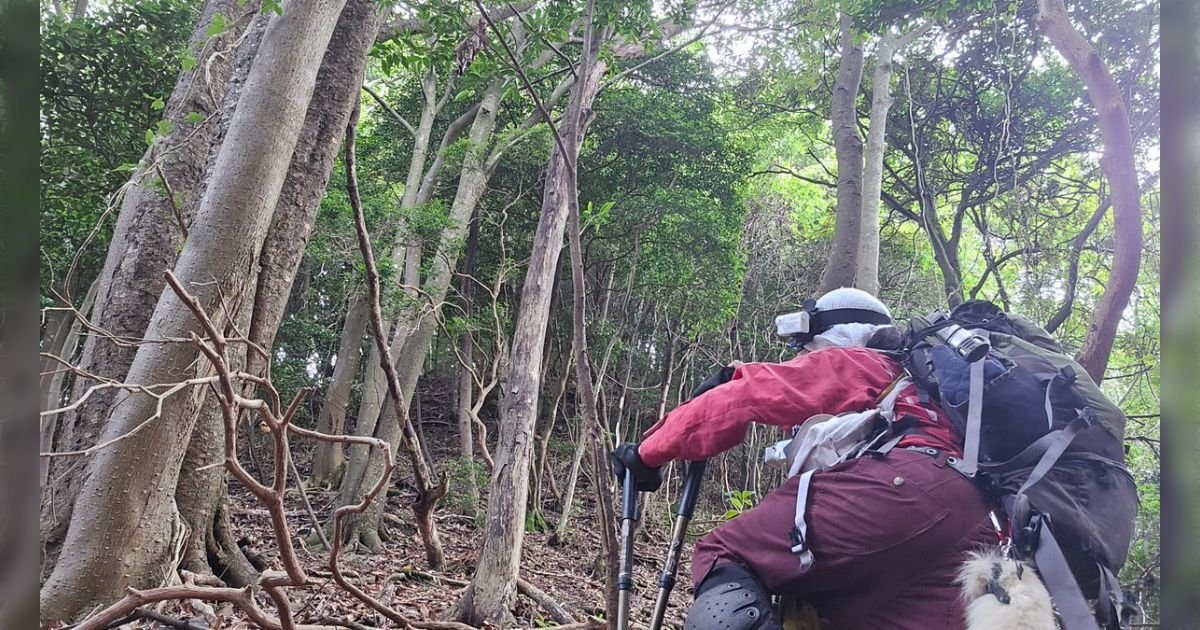 【日本全道人力踏破 JPWEX 熱海市攻略戦Days325-326】 2024-7月期(実況版）Xまとめ 上多賀東西縦断道 新生ルートE3 復旧戦 ＆ ルートDライン大規模整地戦 その1 ...