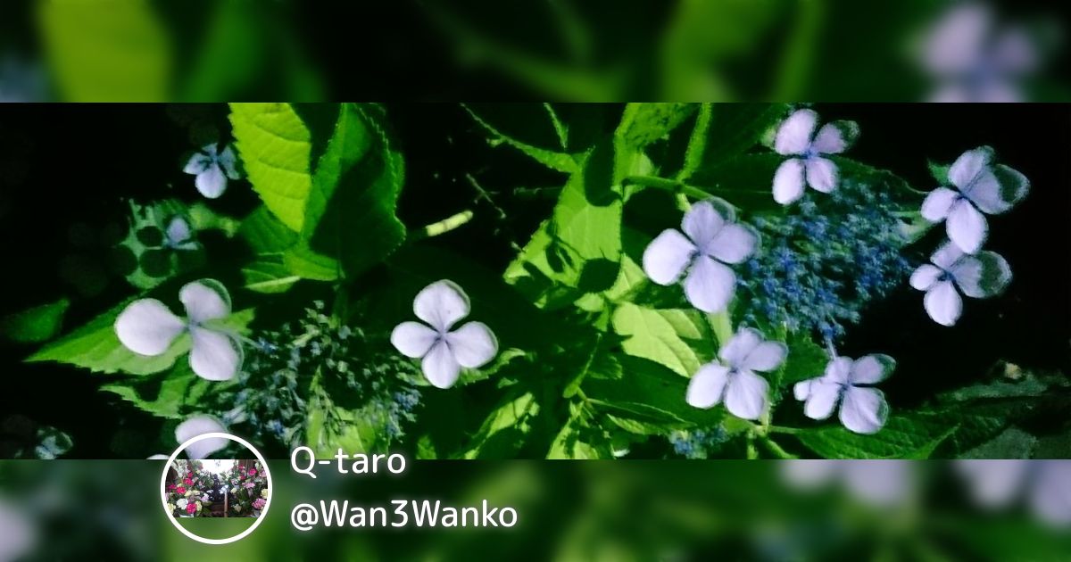 Q-taro(@Wan3Wanko)のまとめ - posfie