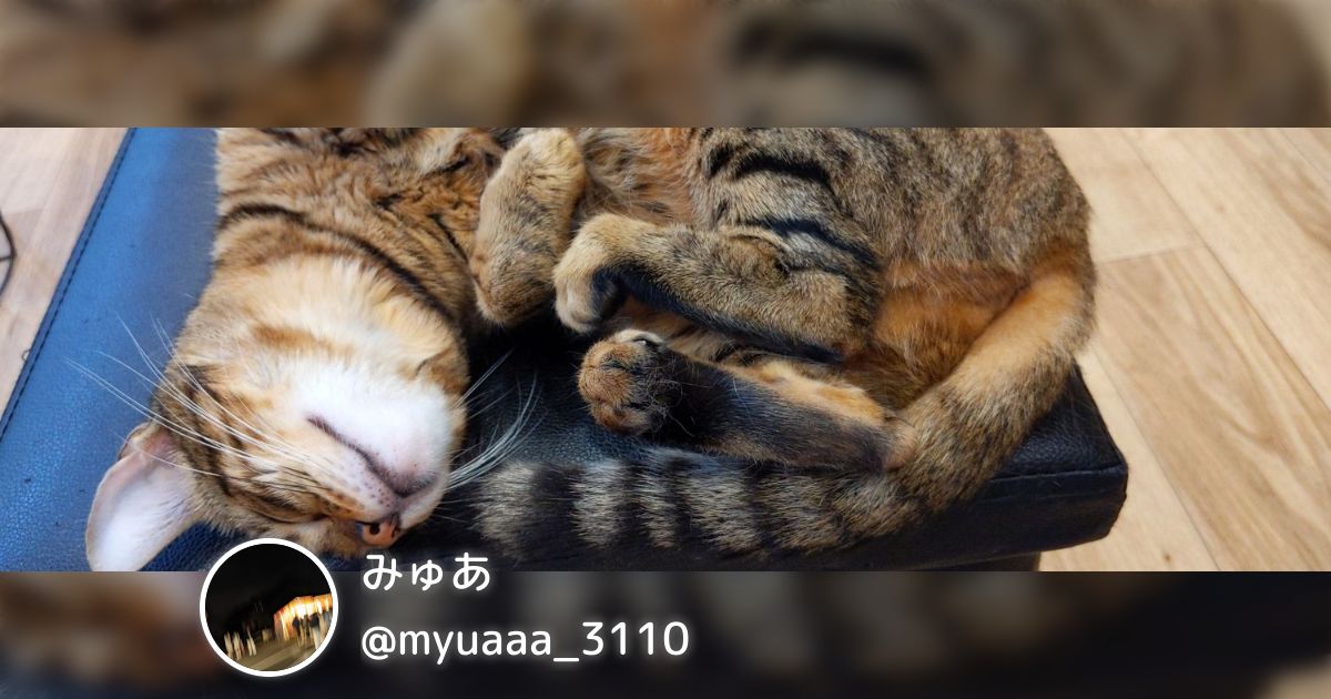 みゅあ(@myuaaa_3110)のまとめ - posfie