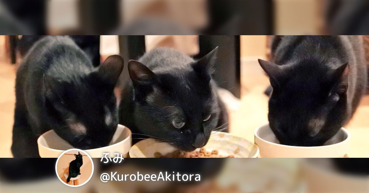 ふみ(@KurobeeAkitora)のまとめ - posfie