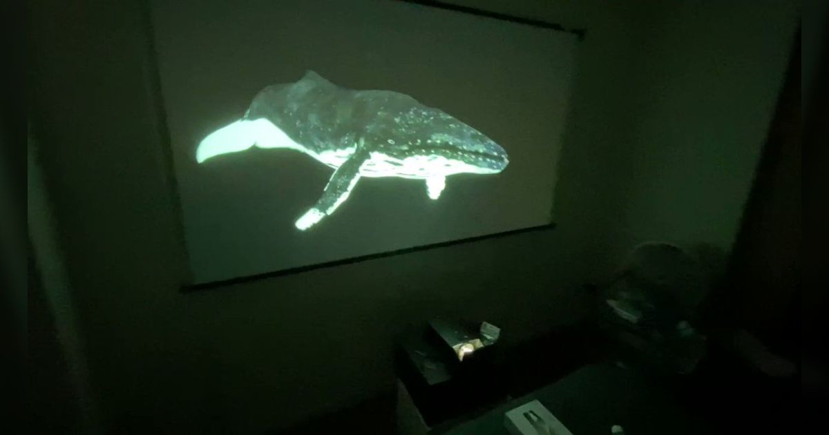 VRプロジェクターPortalgraph - posfie