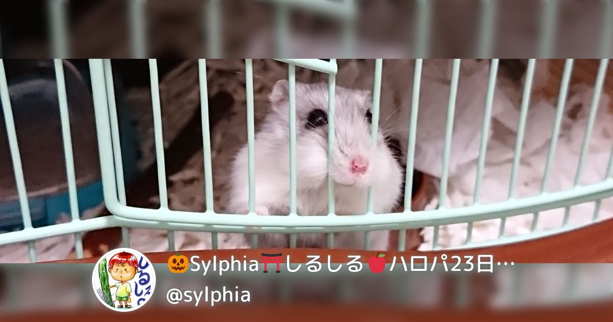 🎃Sylphia⛩️しるしる🍎ハロパ23日P、24日一般(@sylphia)のまとめ - posfie
