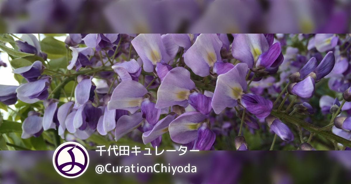 千代田キュレーター(@CurationChiyoda)のまとめ - posfie