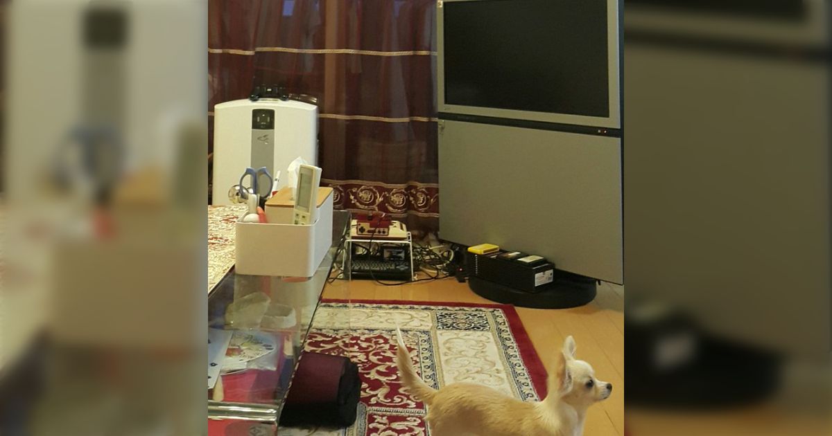 「箱の大きさは変えられないんだぞ！」デベロッパーに告ぐ…3LDKで70㎡切る物件は人権侵害ですよ！！！ - Togetter [トゥギャッター]