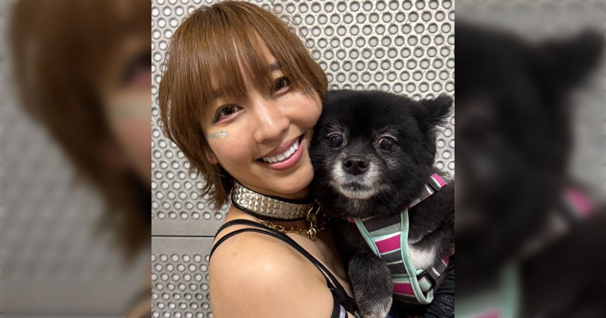 トレンド：ポメラニアン - posfie