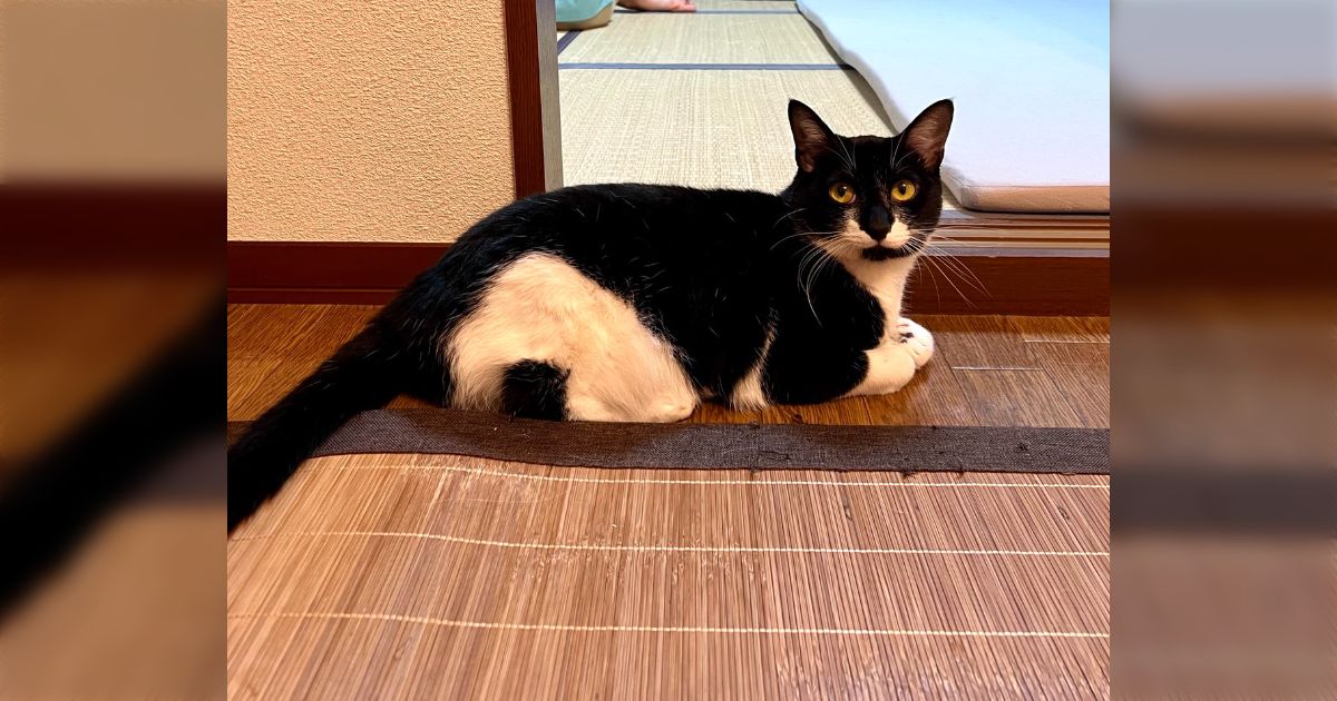 2022/10/23の話題ツイートまとめ - posfie