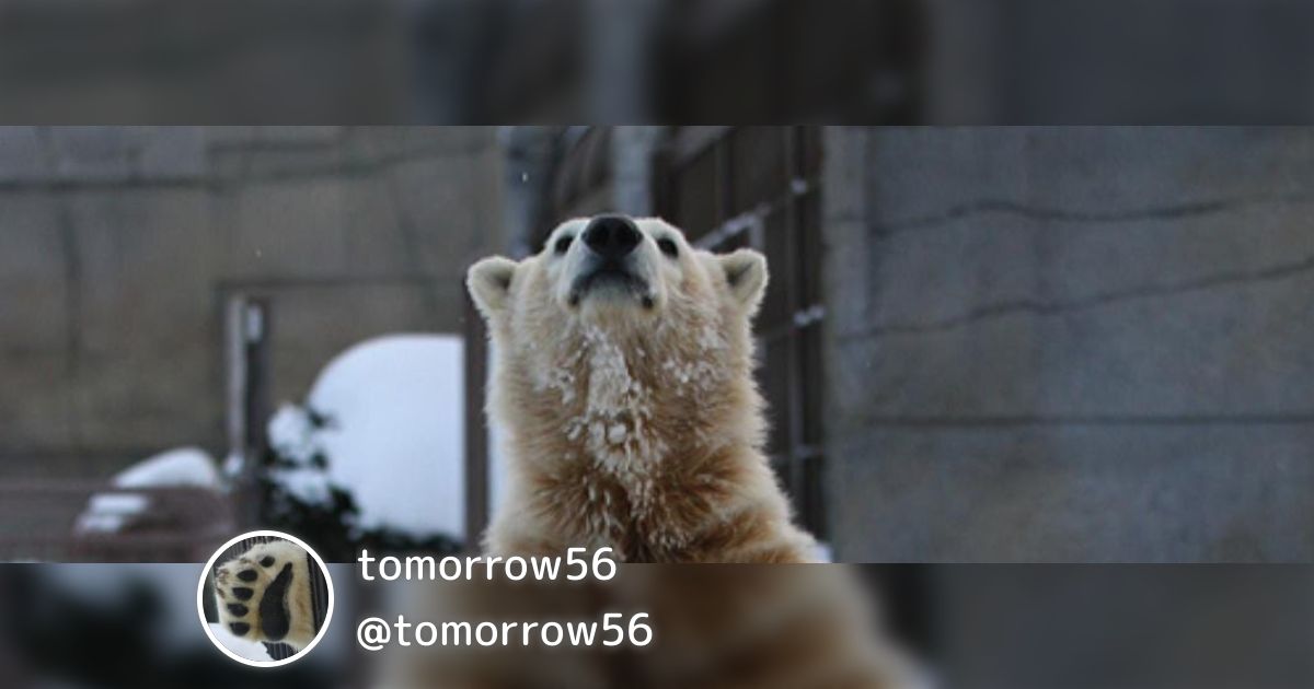 tomorrow56(@tomorrow56)のまとめ - posfie