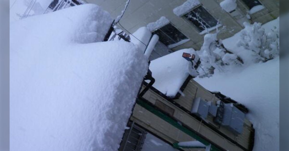 雪、本気だす！越後長岡の雪写真中心ツイート 1月11日 - posfie