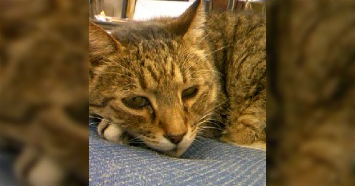 桐生つぶやき 2010-04-27 - posfie