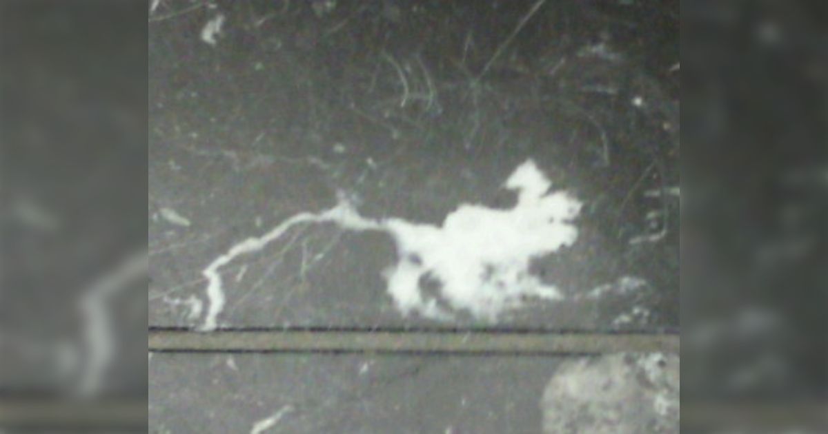 アナログ終了 テレビ東京 - posfie