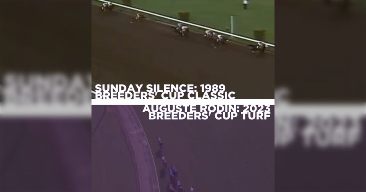 競馬雑記『#駿楽競馬2024』のまとめ - posfie