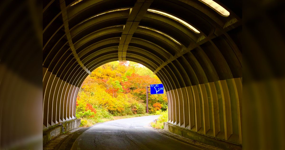 SR600Oirase @hakvrai編 2020 Oct - posfie