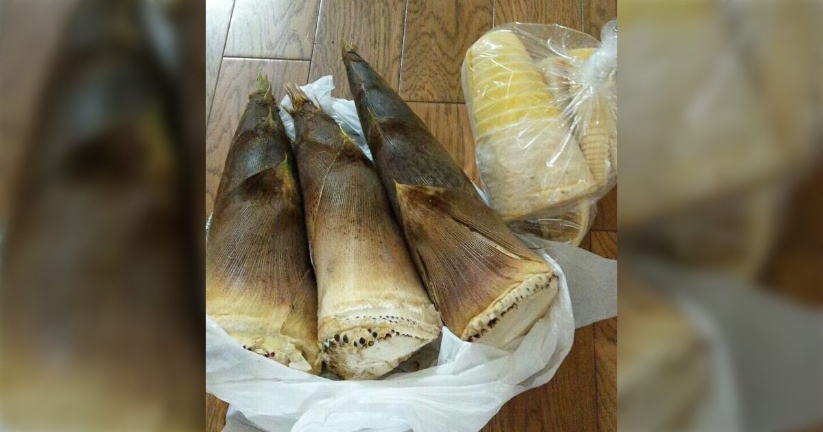 ゆずかママの旬の筍ベクレル測定 - posfie