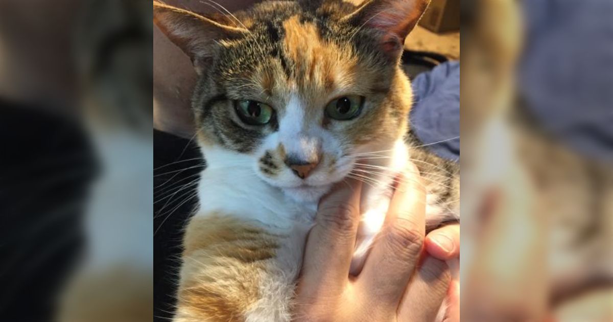 全員救出！ - posfie