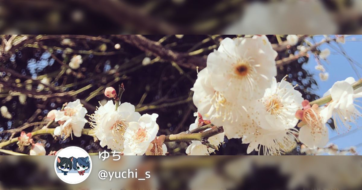 ゆち(@yuchi_s)のまとめ - posfie