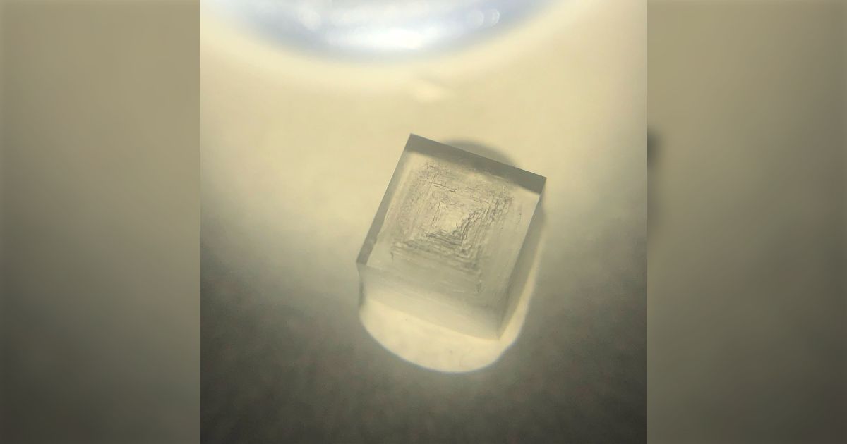 塩の結晶作り(101~200日目） - posfie