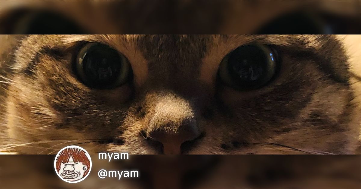 myam(@myam)のまとめ - posfie