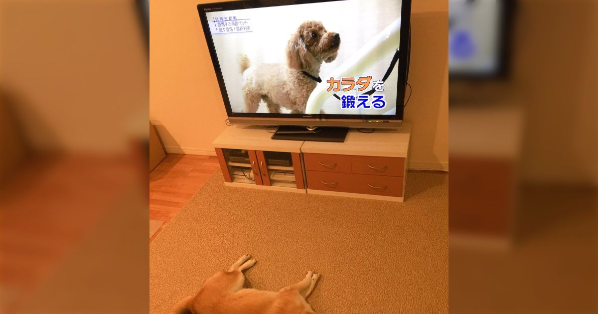 2016/11/12のRT済ツイートまとめ - posfie