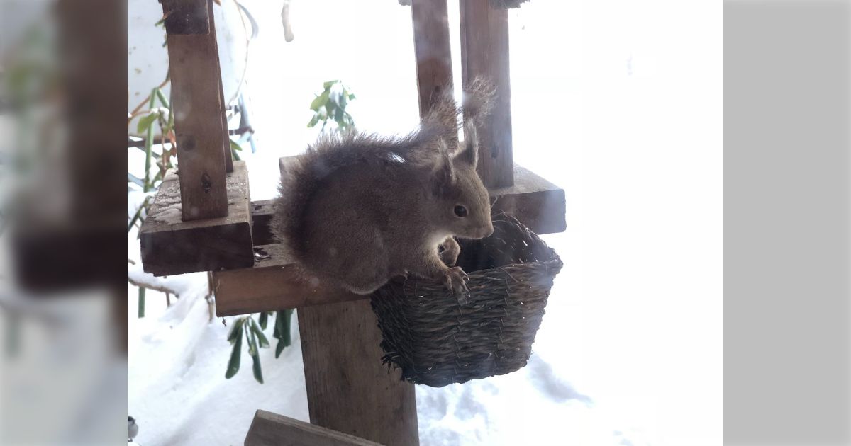 Python mini Hack-a-thon 雪山合宿 2019 - Togetter [トゥギャッター]