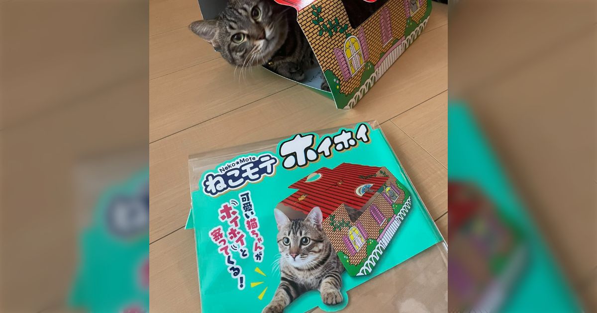 2023/7/10の話題ツイートまとめ - posfie