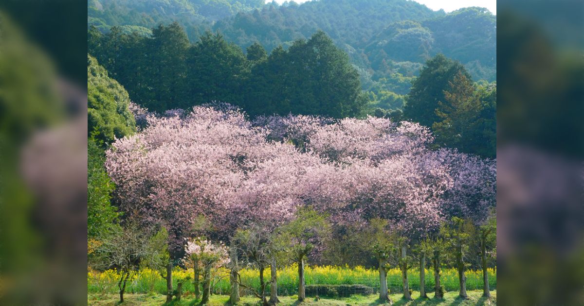 一人ツーリング記・2019年3月5日 - posfie