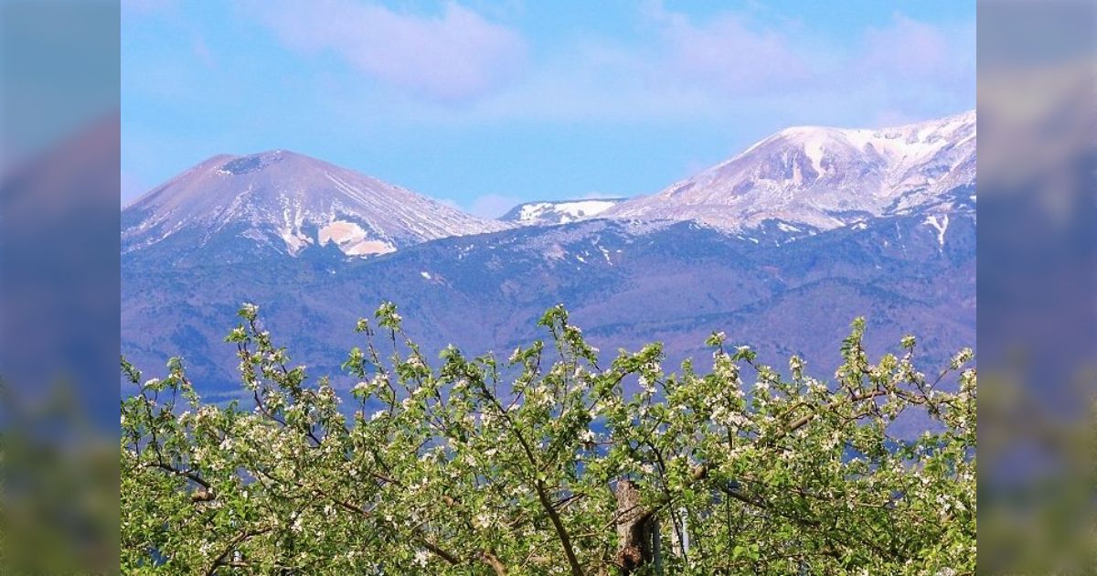 吾妻小富士の雪うさぎ 2016年ver - posfie