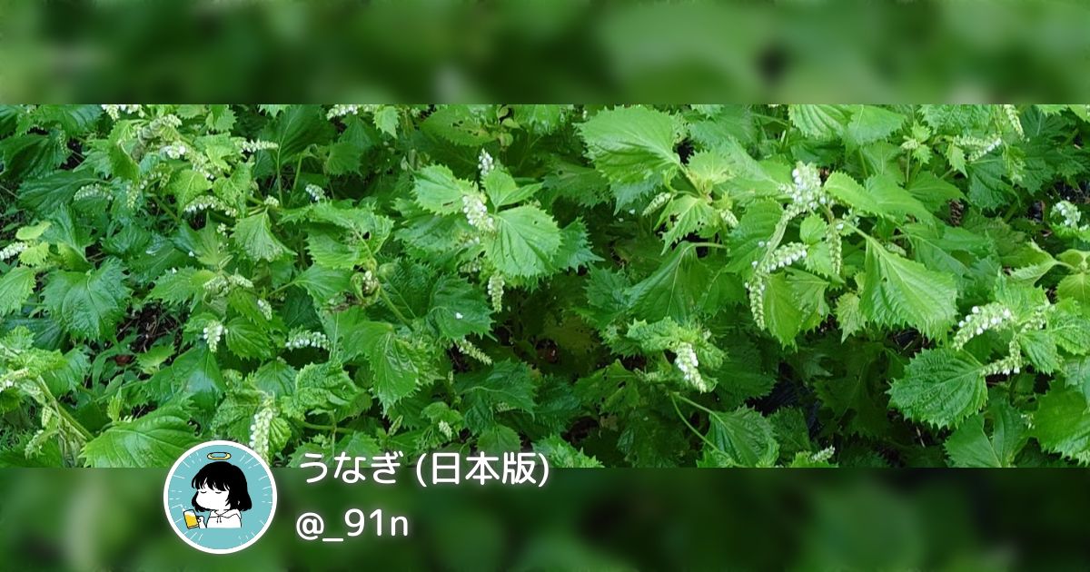 うなぎ (日本版)(@_91n)のまとめ - posfie