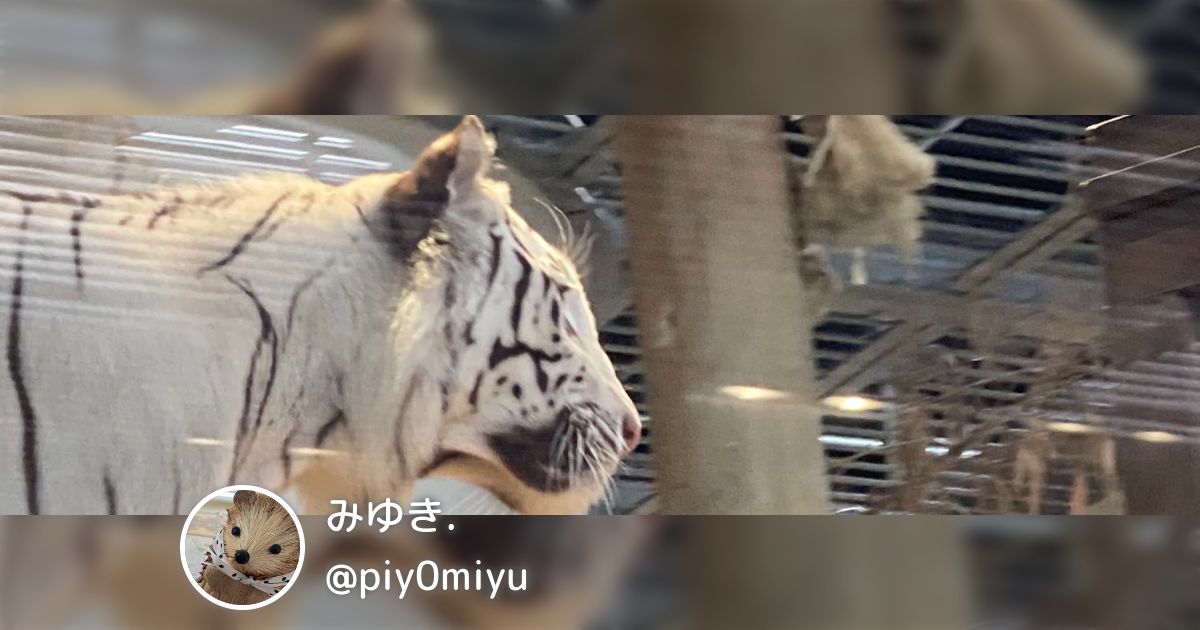 みゆき.(@piy0miyu)のまとめ - posfie