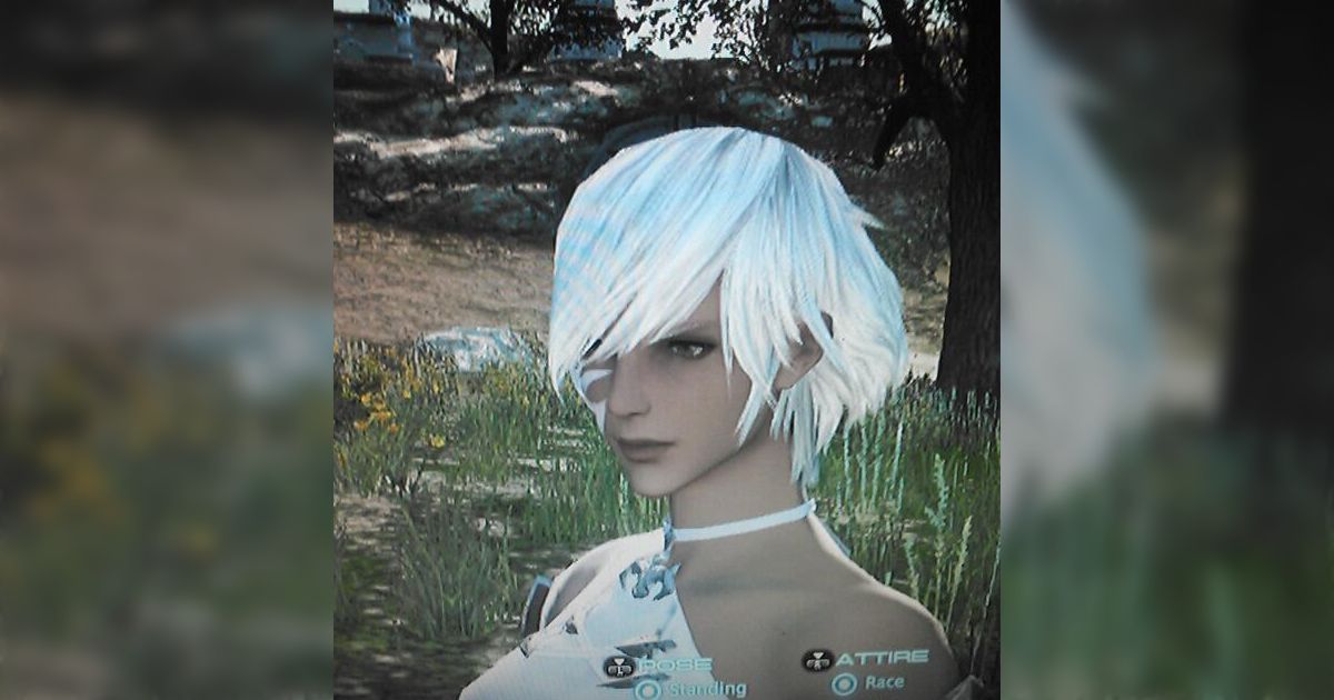 初めてのMMORPG～FF14、DL編～ - posfie