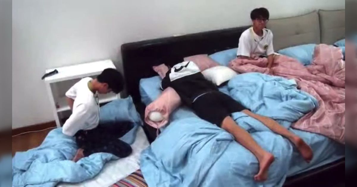 SafeHouseSS4 Per介のホームシックを見守り隊③-Day5～Day6 - min.t (ミント)