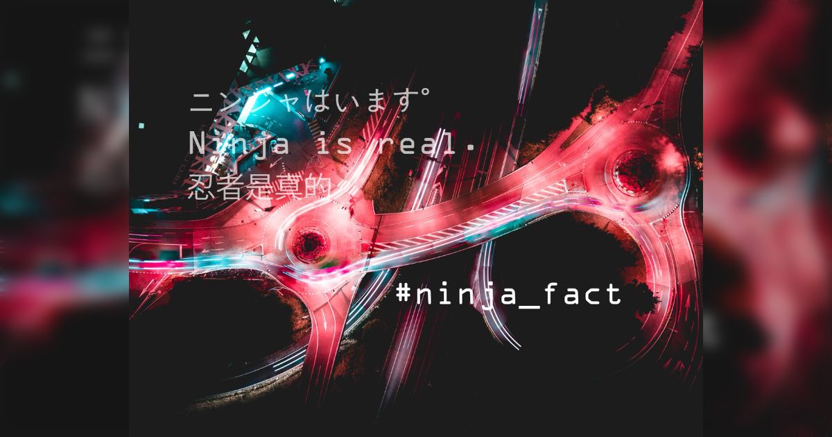 【PLUS実況】#ninja_fact/ニンジャファクト・キャンペイグン (3ページ目) - Togetter [トゥギャッター]
