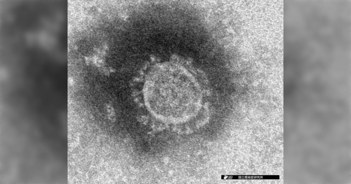 東京都で新たに181人武漢肺炎に感染→50代が最も多い→ネット「ついにトータル1万人超えたか・・」 - posfie