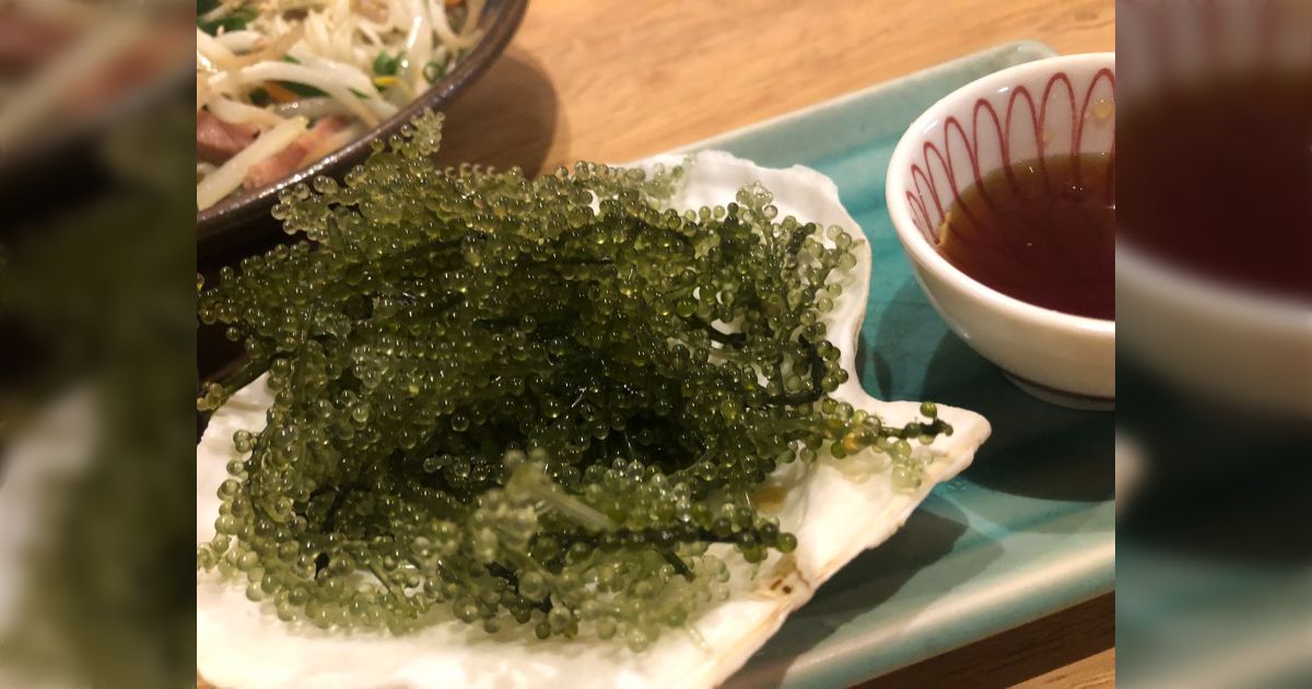 RubyKaigi 2024 Day>=4 (2024-05-18~) セッション以外 (2ページ目) - Togetter [トゥギャッター]